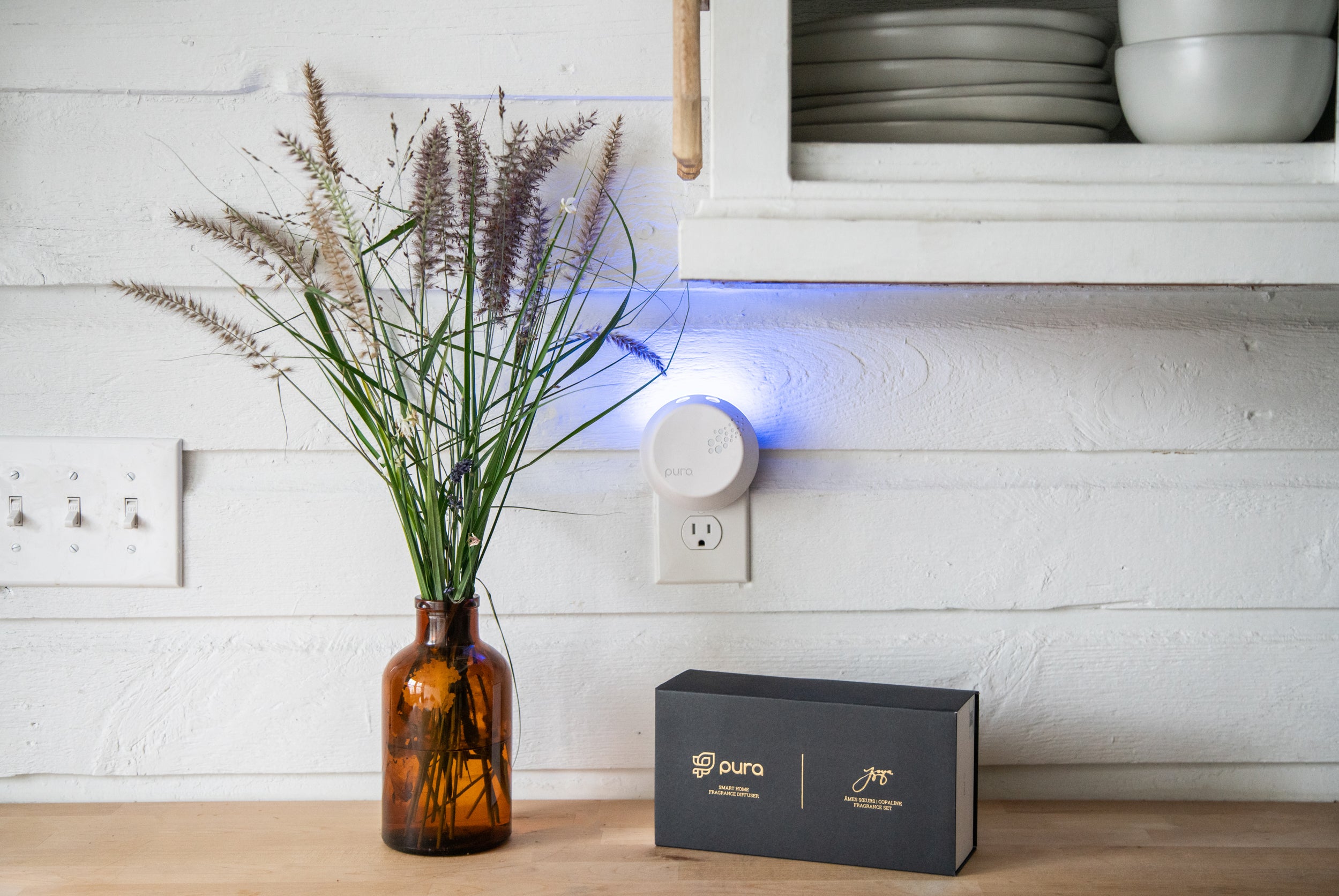 Pura x Joya Smart Home Fragrance Diffuser Kit – Joya Studio